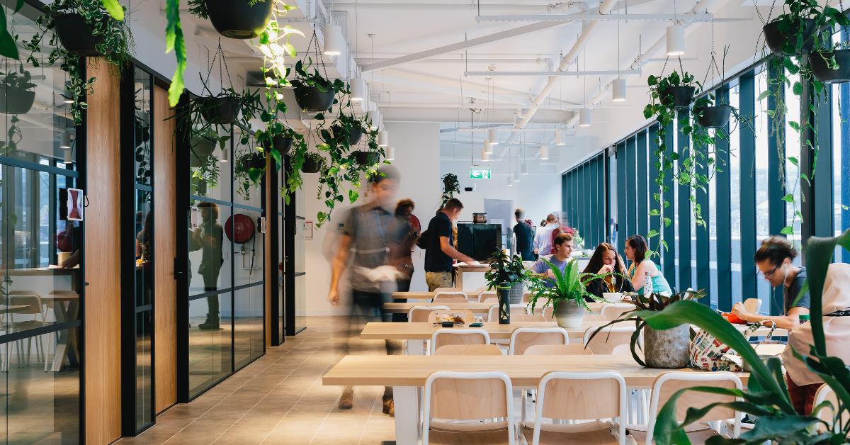 The future of work is flexible - how Hub Australia is making work ...