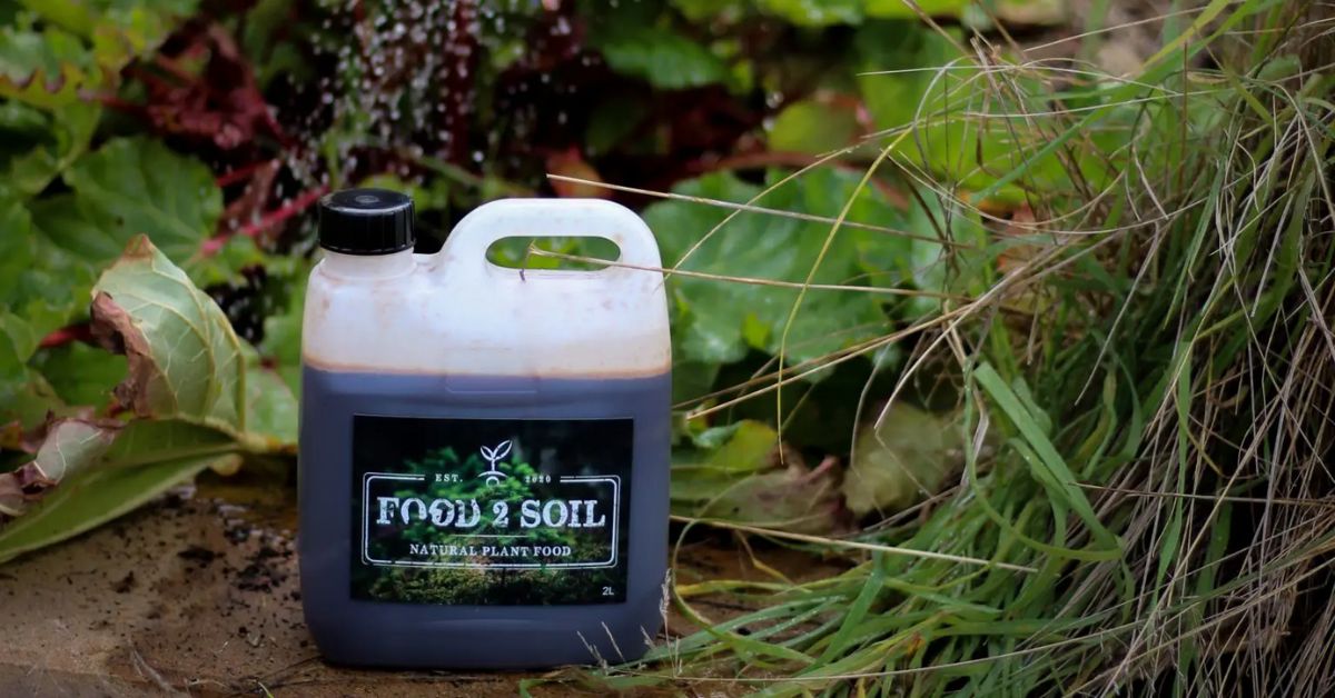 Trash to treasure: Food2Soil are rejuvenating soil health using food ...
