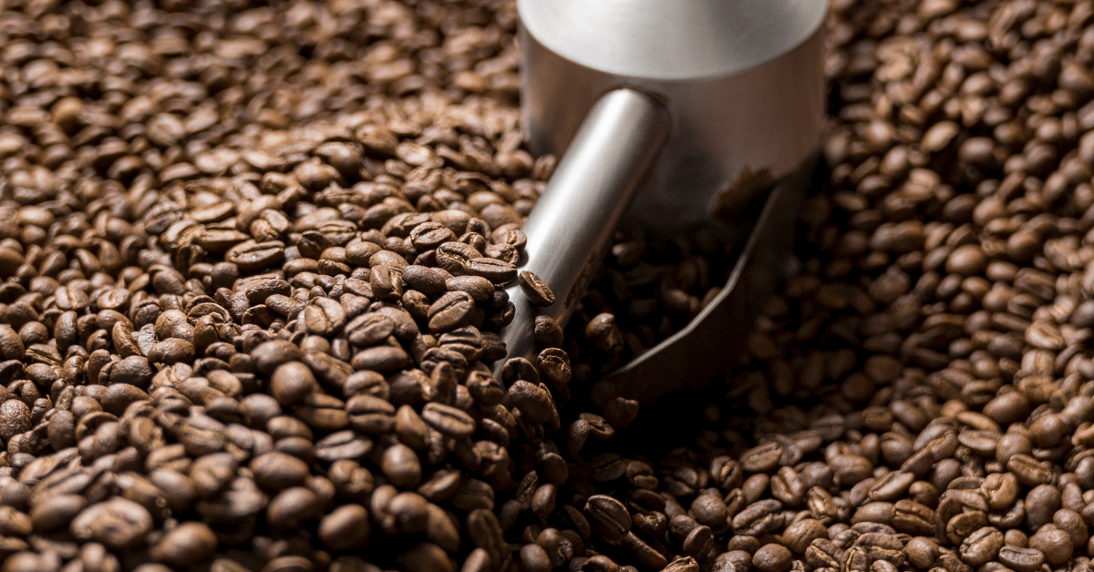 Separating yourself from the pack with B Corp, Grounded Packaging - B ...